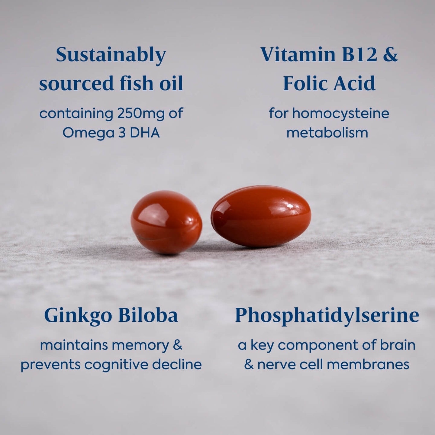 Efamol Active Memory - Supplements - Efamol