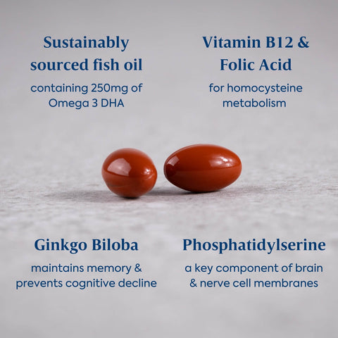Efamol Active Memory – Omega-3 DHA, Ginkgo Biloba & B Vitamins for ...
